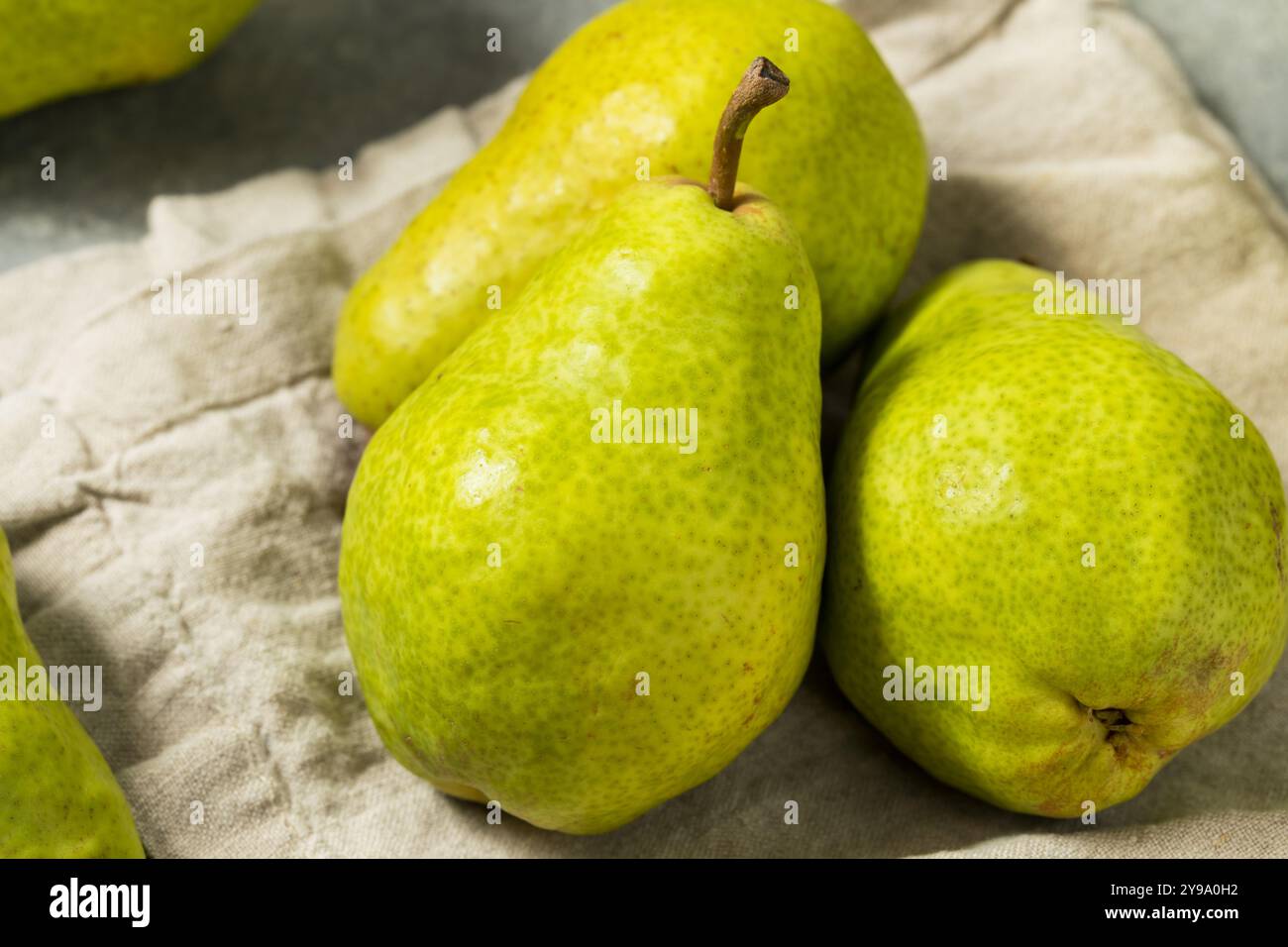 Raw Organic Green Bartlett Pears in a Bunch Stock Photo - Alamy