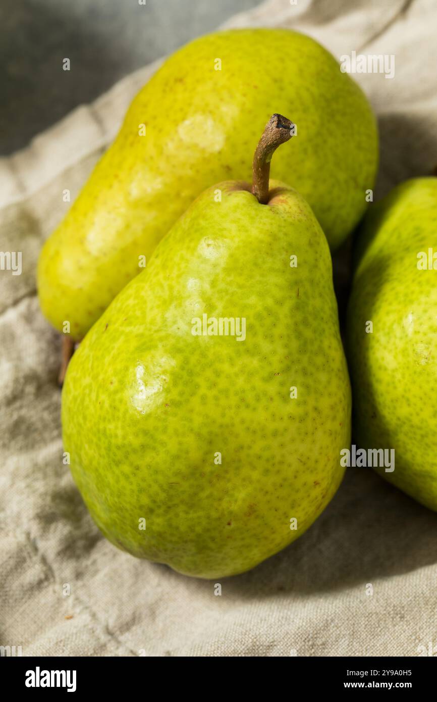 Raw Organic Green Bartlett Pears in a Bunch Stock Photo - Alamy