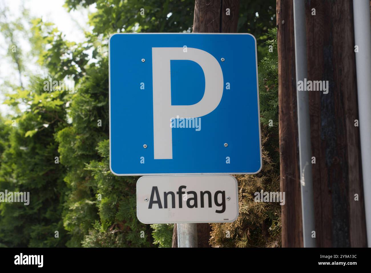 a parking lot road sign with a white P letter parking sign with white P ...