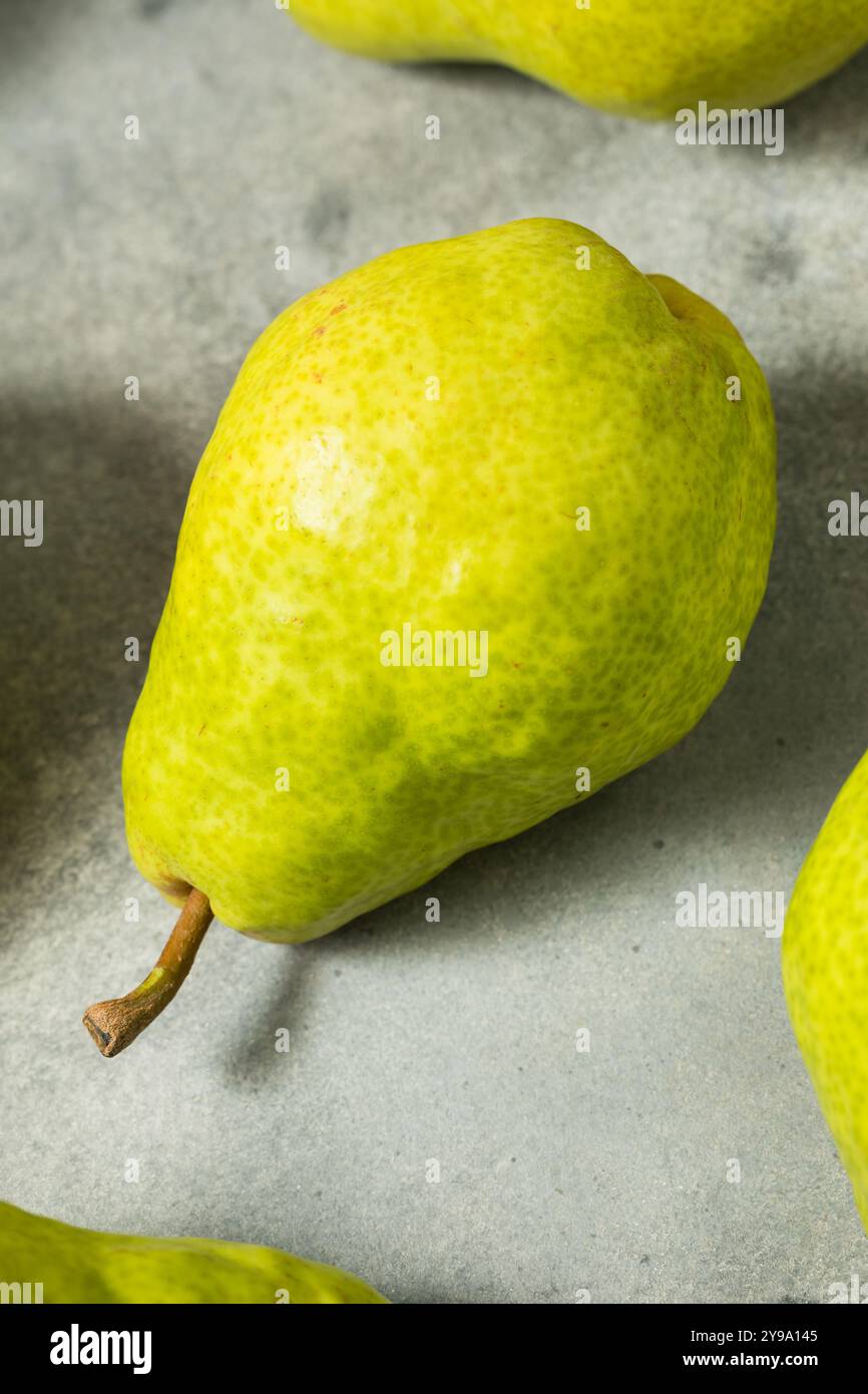Raw Organic Green Bartlett Pears in a Bunch Stock Photo - Alamy