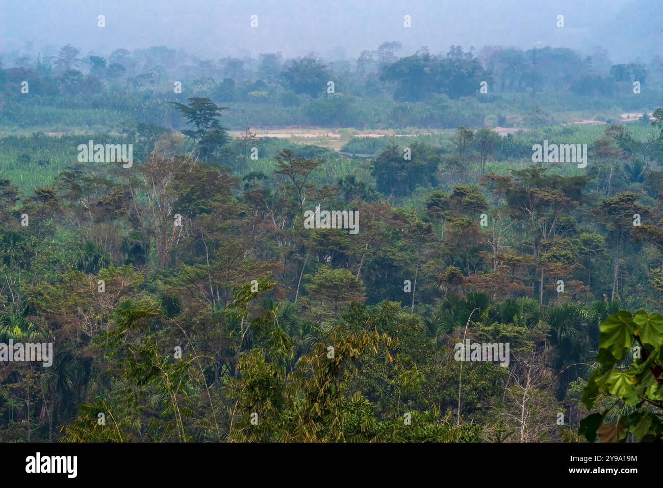 Smoke caused by forest fires in the Peruvian Amazon Stock Photo - Alamy