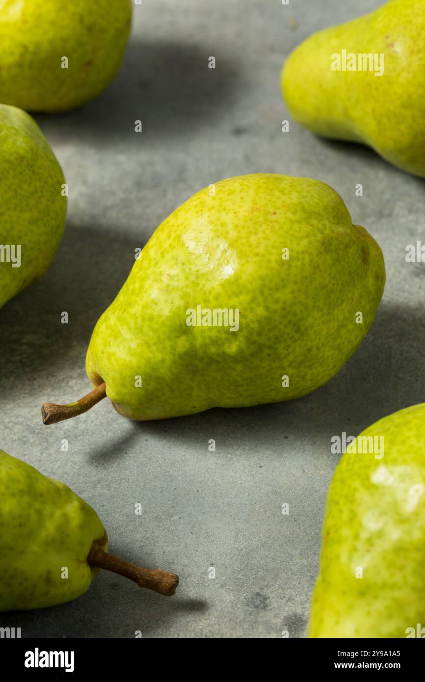 Raw Organic Green Bartlett Pears in a Bunch Stock Photo - Alamy
