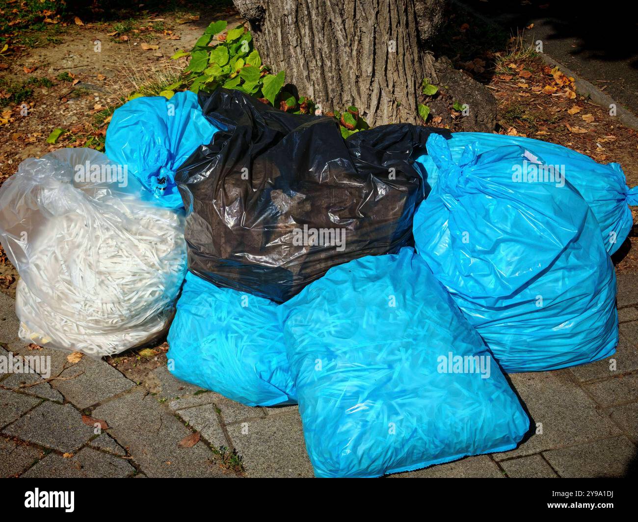 garbage and waste in public space, environmental protection and garbage ...