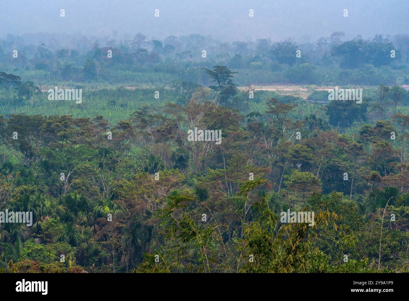 Smoke caused by forest fires in the Peruvian Amazon Stock Photo - Alamy