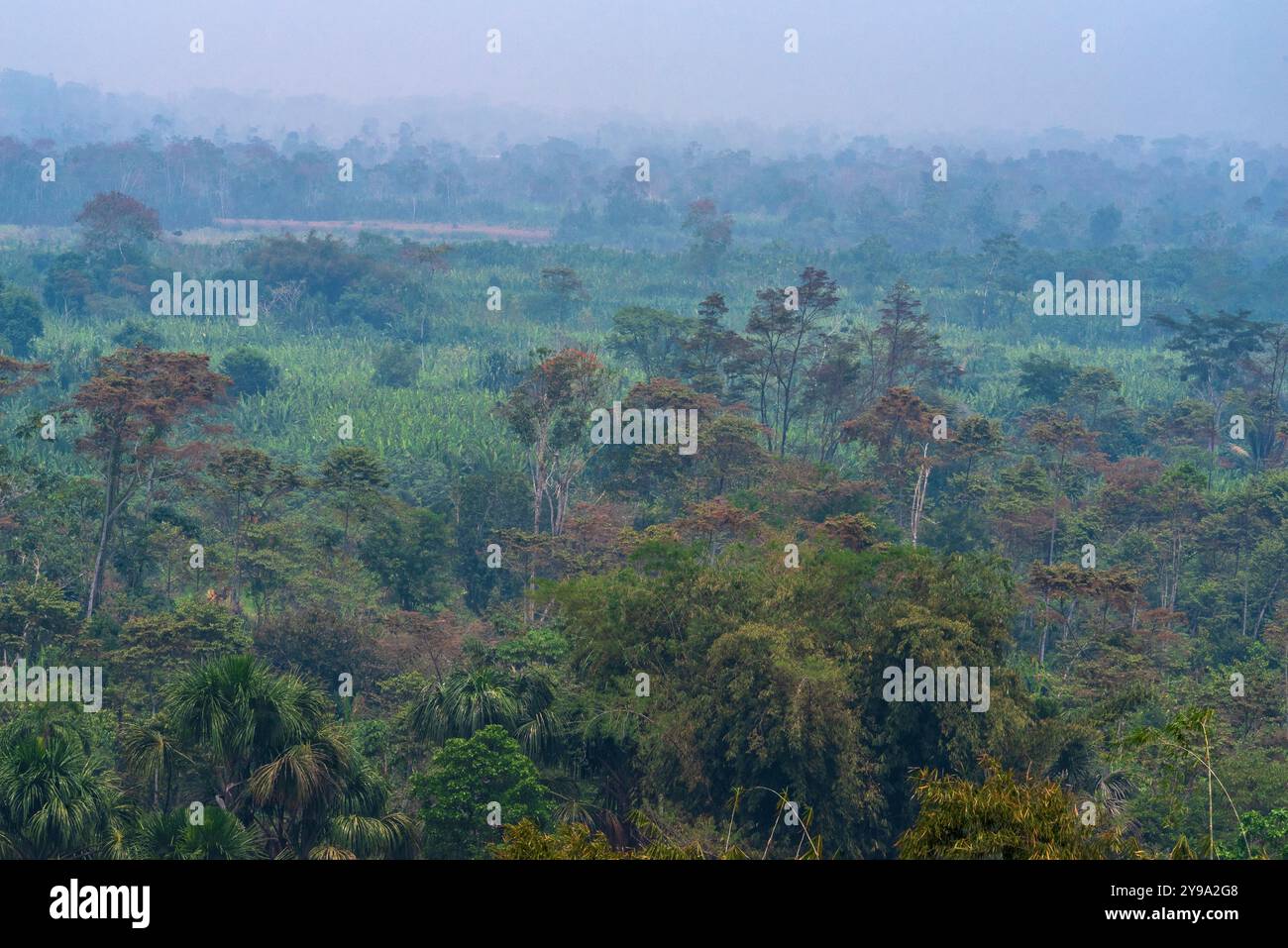 Smoke caused by forest fires in the Peruvian Amazon Stock Photo - Alamy
