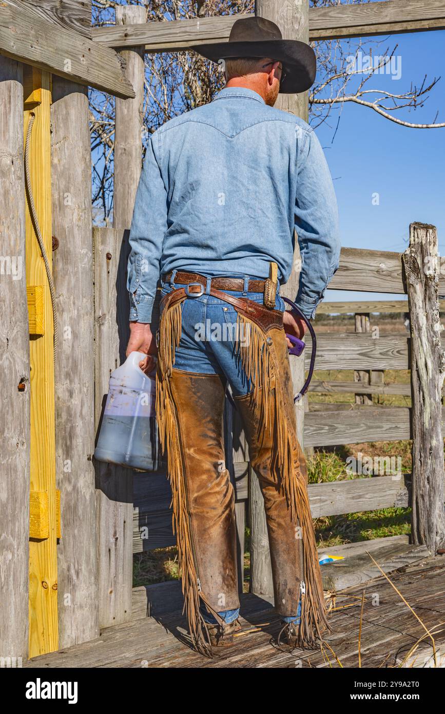 Yoakum, Texas, United States. Cowboy wearing leather chaps and blue ...