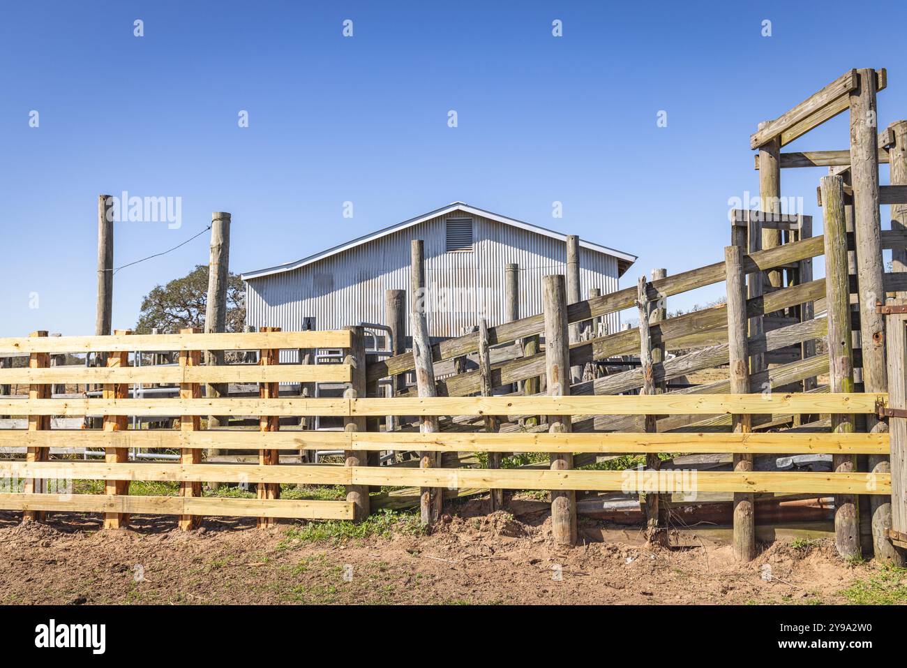 Yoakum, Texas, United States. Cattle chute on a Texas ranch Stock Photo ...