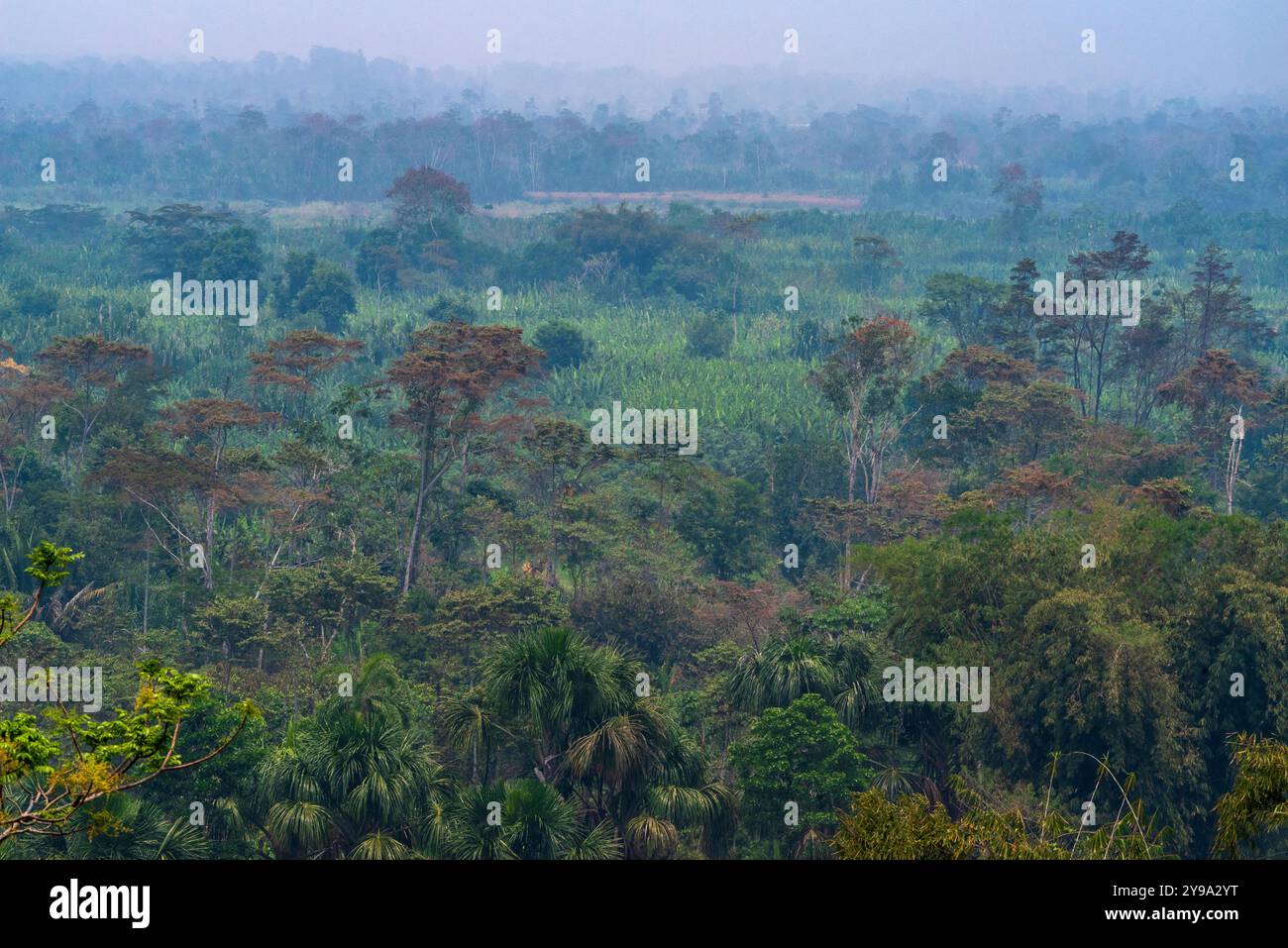 Smoke caused by forest fires in the Peruvian Amazon Stock Photo - Alamy