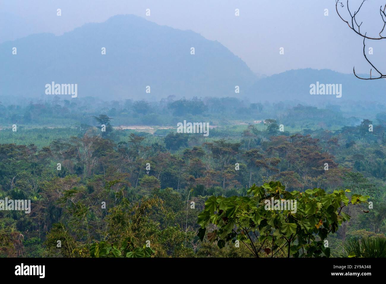 Amazon rainforest fire hi-res stock photography and images - Alamy