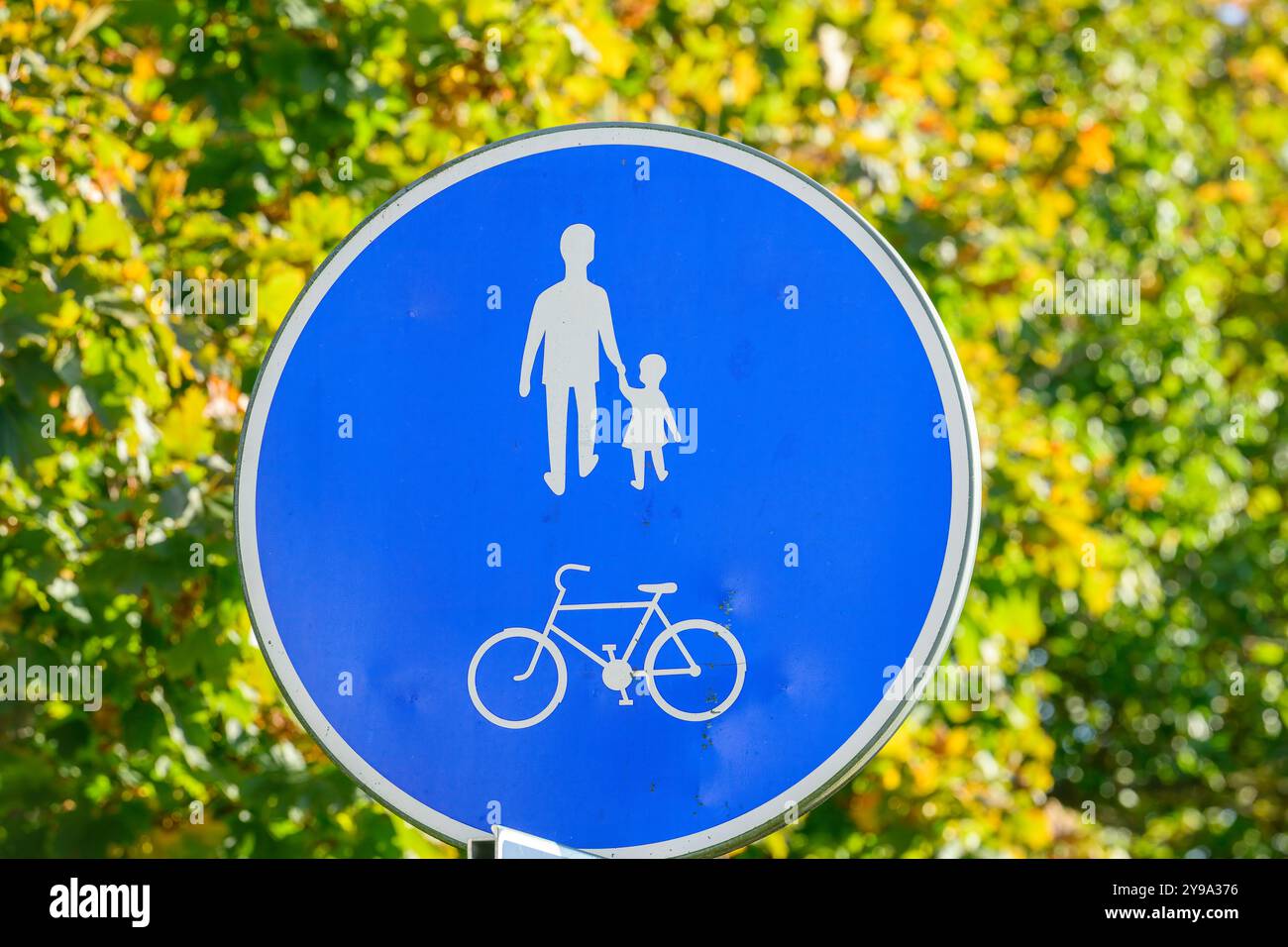 A blue circular sign indicates an area designated for pedestrians and ...