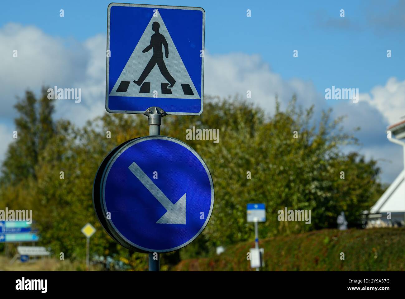 A pedestrian crossing sign stands prominently alongside a blue ...