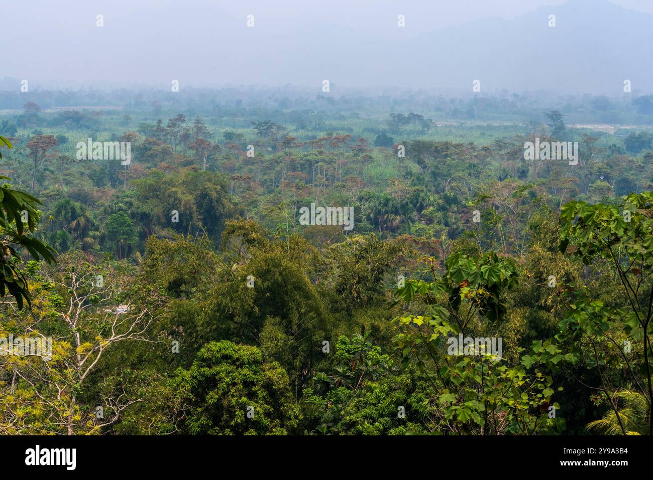Smoke caused by forest fires in the Peruvian Amazon Stock Photo - Alamy