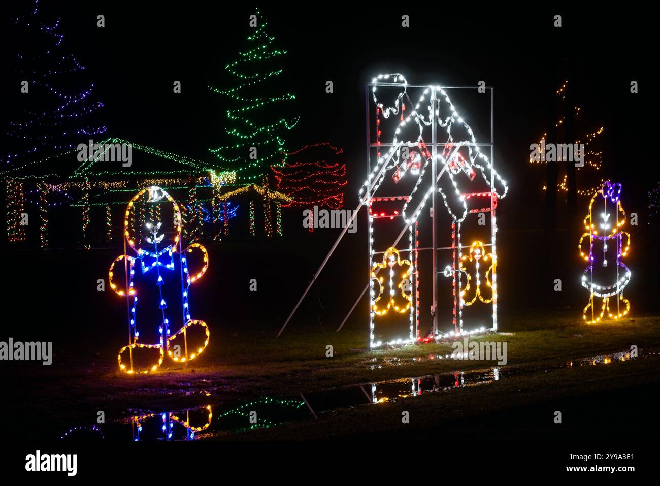 Outdoor Christmas display features gingerbread figures beside a small ...