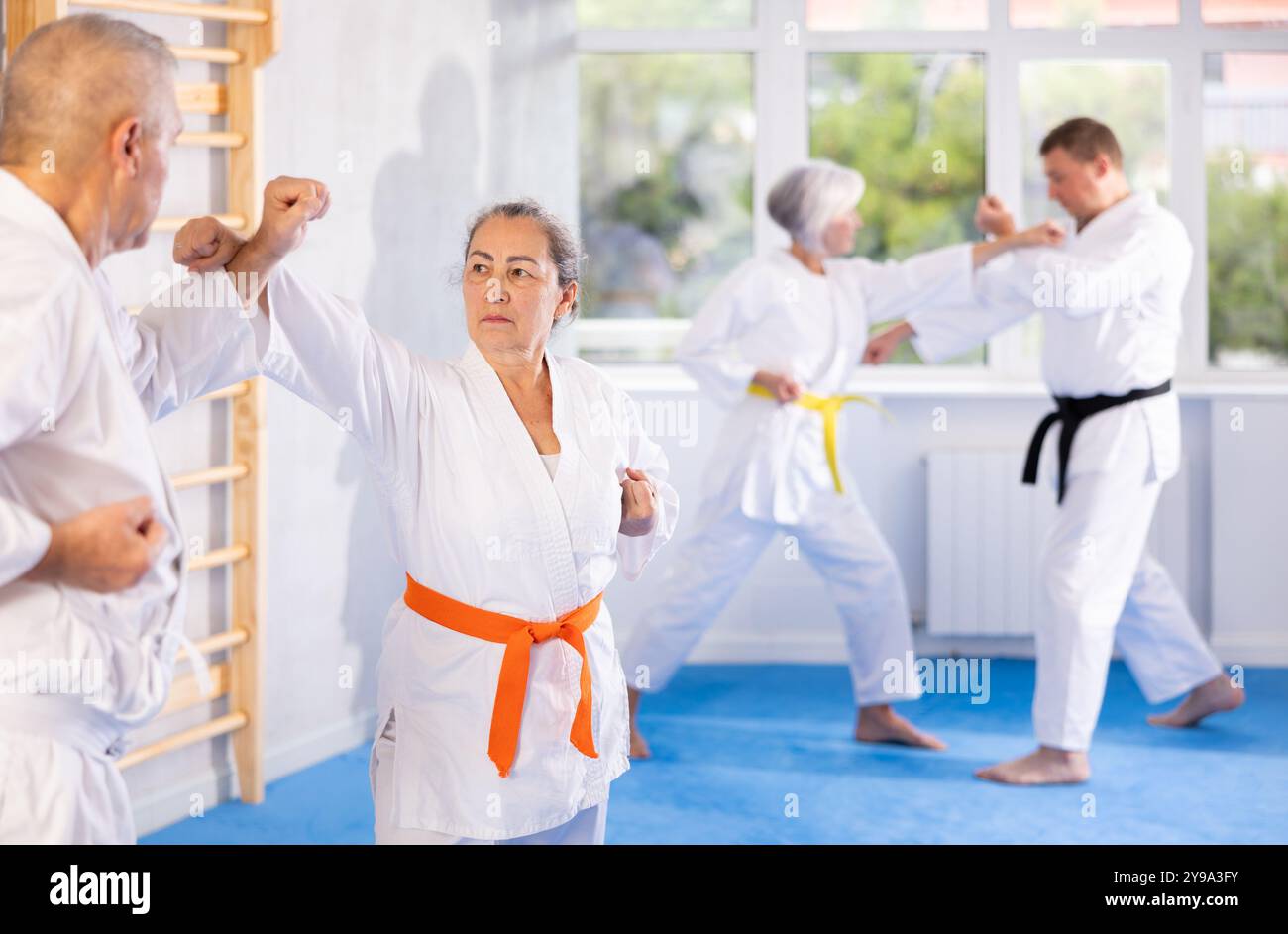 Old woman attendee of karate classes fighting with her opponent in ...
