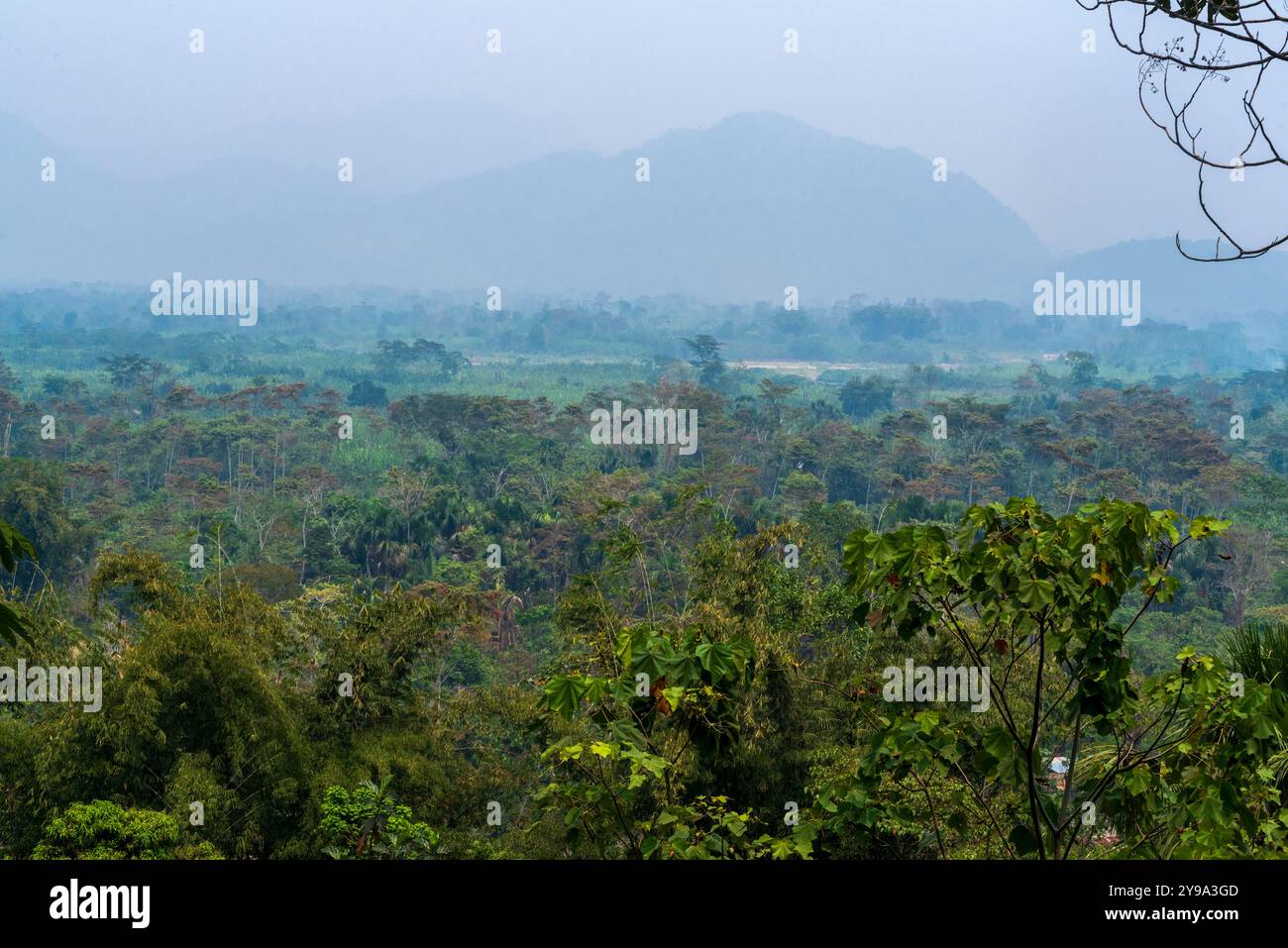Smoke caused by forest fires in the Peruvian Amazon Stock Photo - Alamy