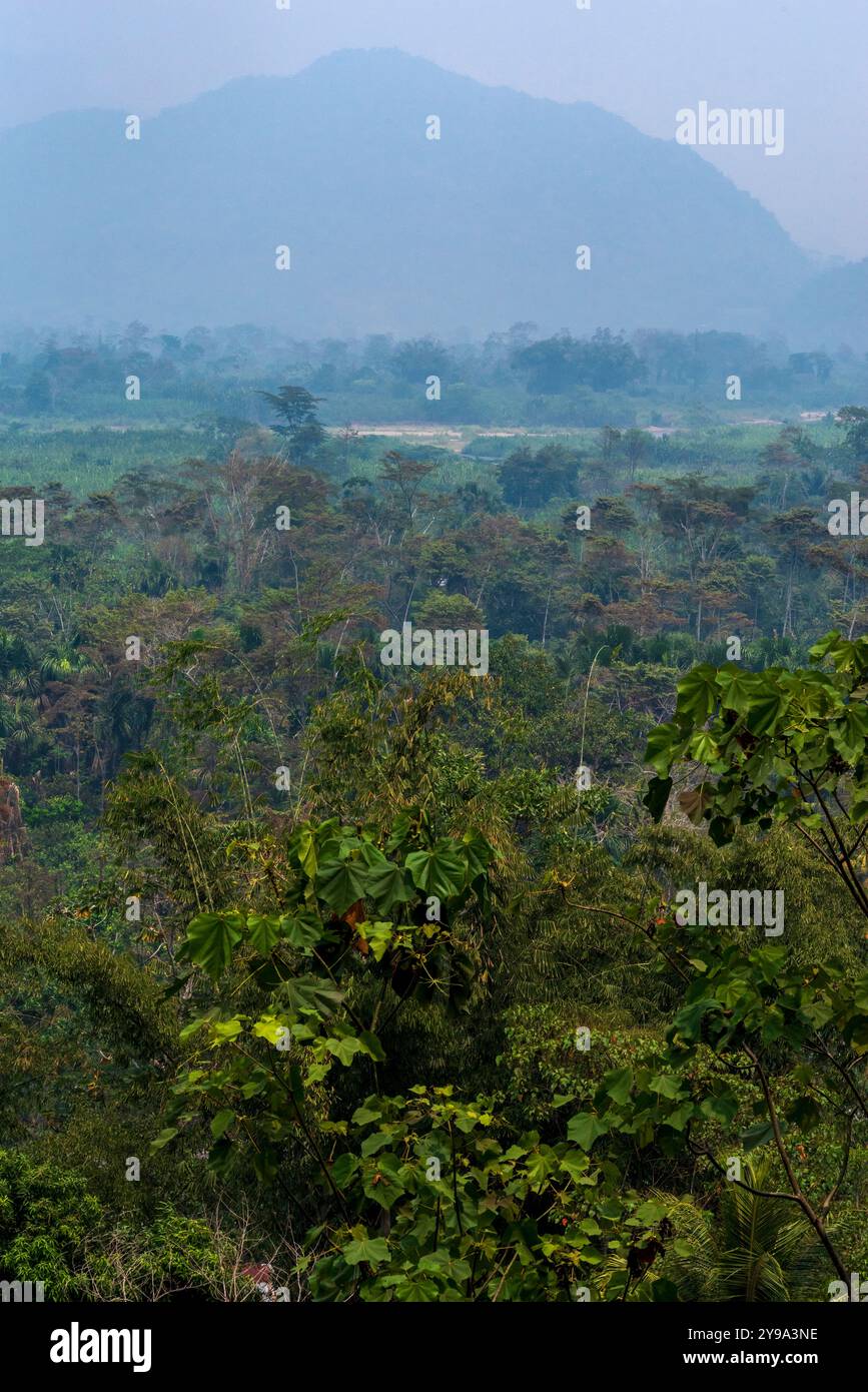 Smoke caused by forest fires in the Peruvian Amazon Stock Photo - Alamy