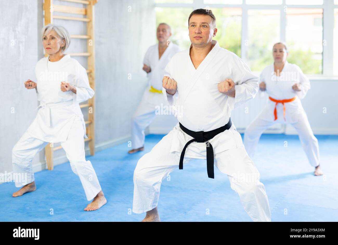 Senior students perform basic movements and repeat to hold pose ...