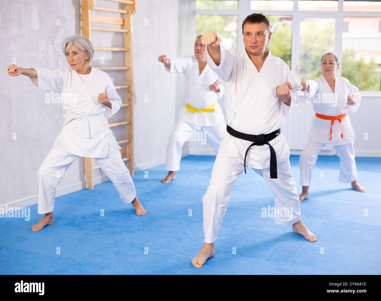 Senior students perform basic movements and repeat to hold pose ...