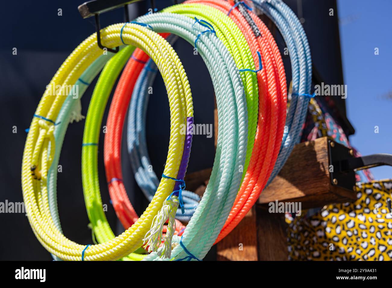 Goliad, Texas, United States. Lasso throwing ropes for sale at a county ...