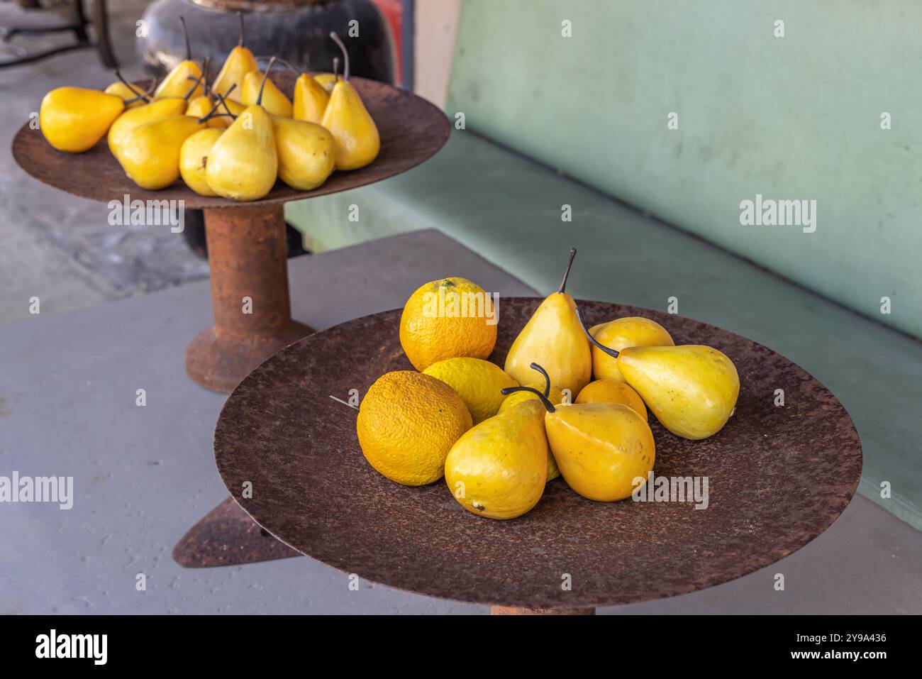 Goliad, Texas, United States. Golden pears on display at a country fair ...