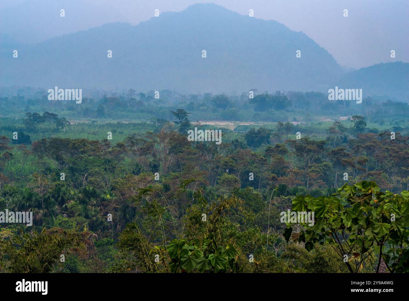 Smoke caused by forest fires in the Peruvian Amazon Stock Photo - Alamy