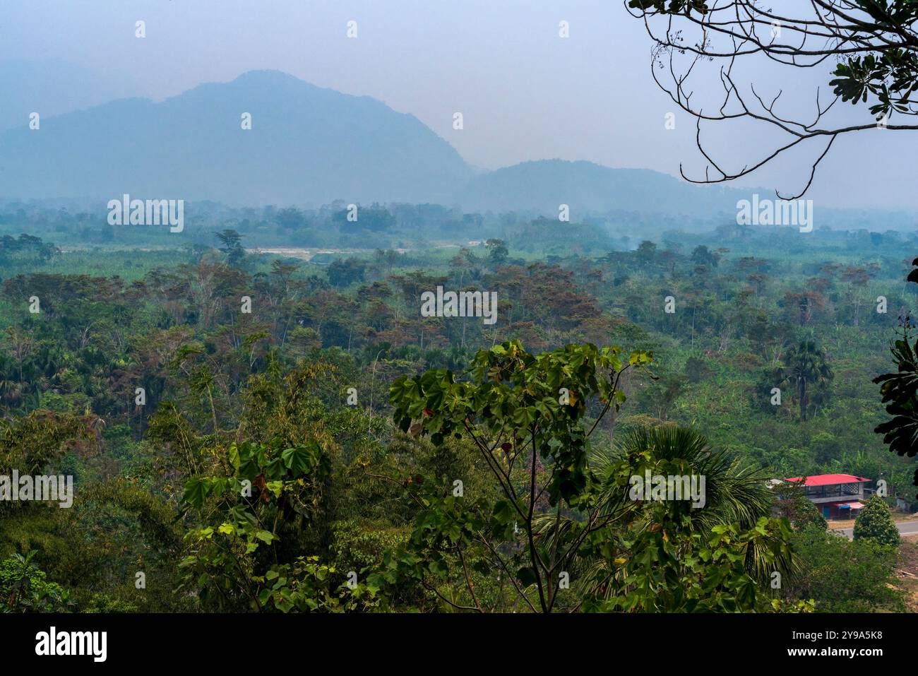 Smoke caused by forest fires in the Peruvian Amazon Stock Photo - Alamy