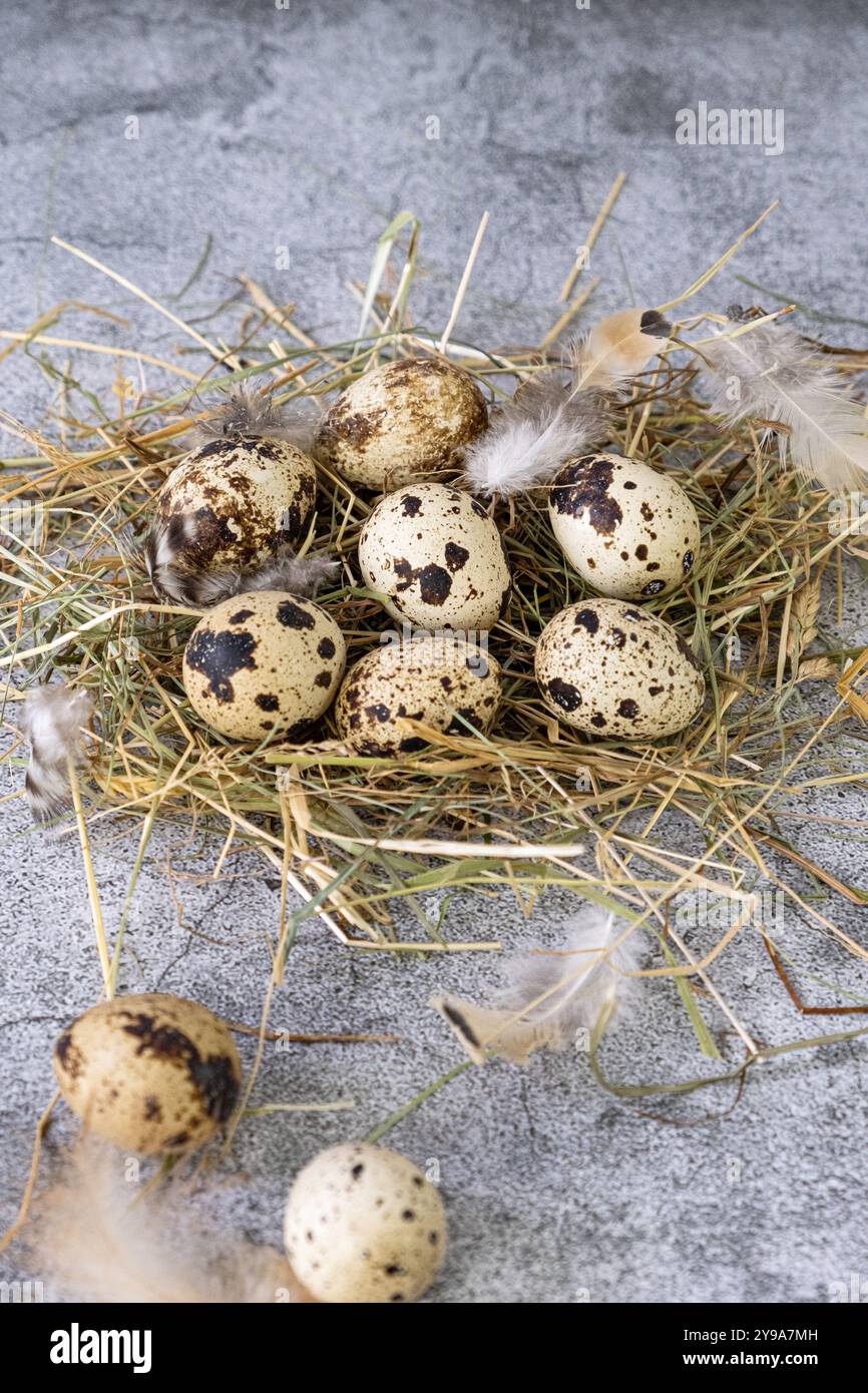 Fresh quail eggs. Rustic style Stock Photo - Alamy