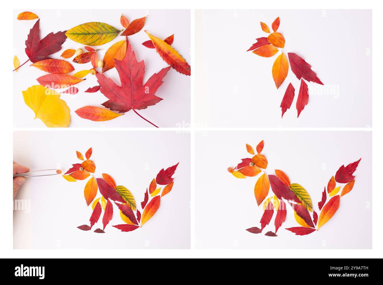 step by step instruction how to make fox out of autumnal leaf, DIY ...
