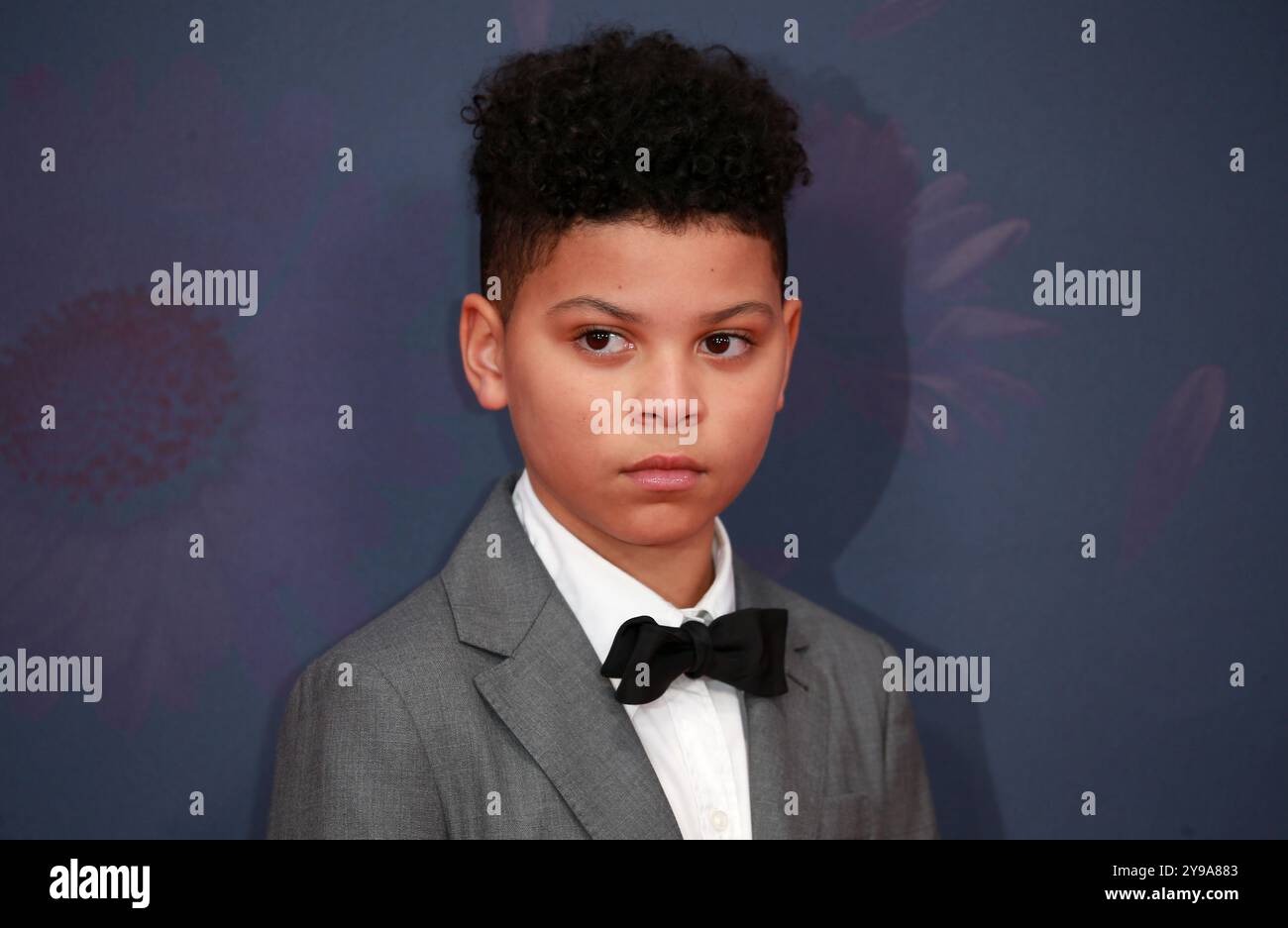 Elliot heffernan blitz hi-res stock photography and images - Alamy