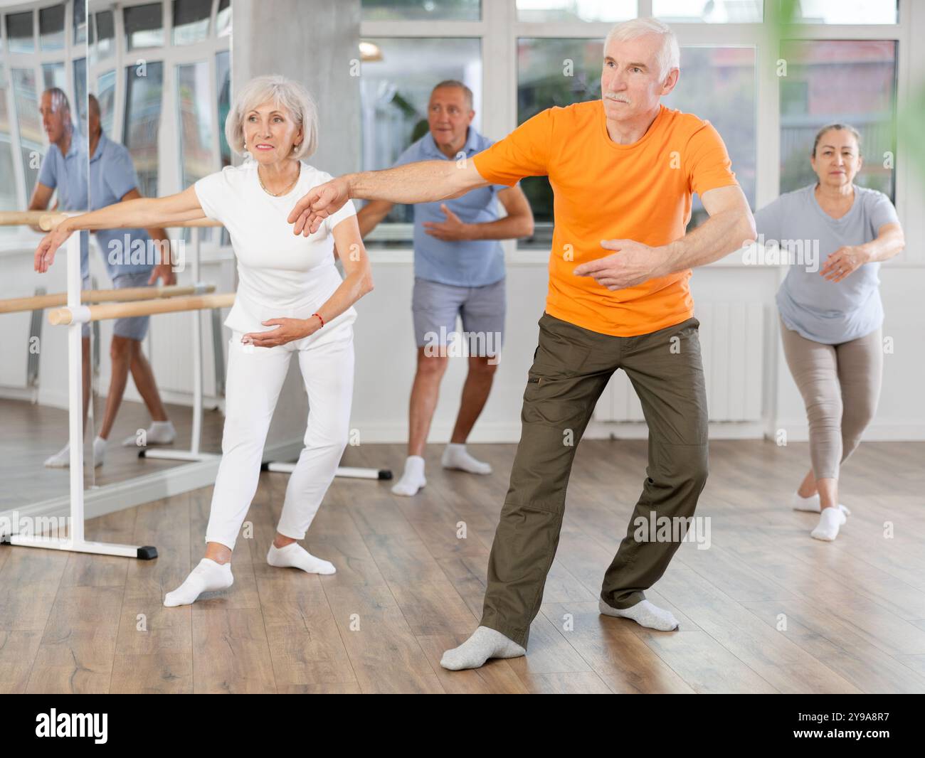 Group of elderly people of different ages are learning various dance ...