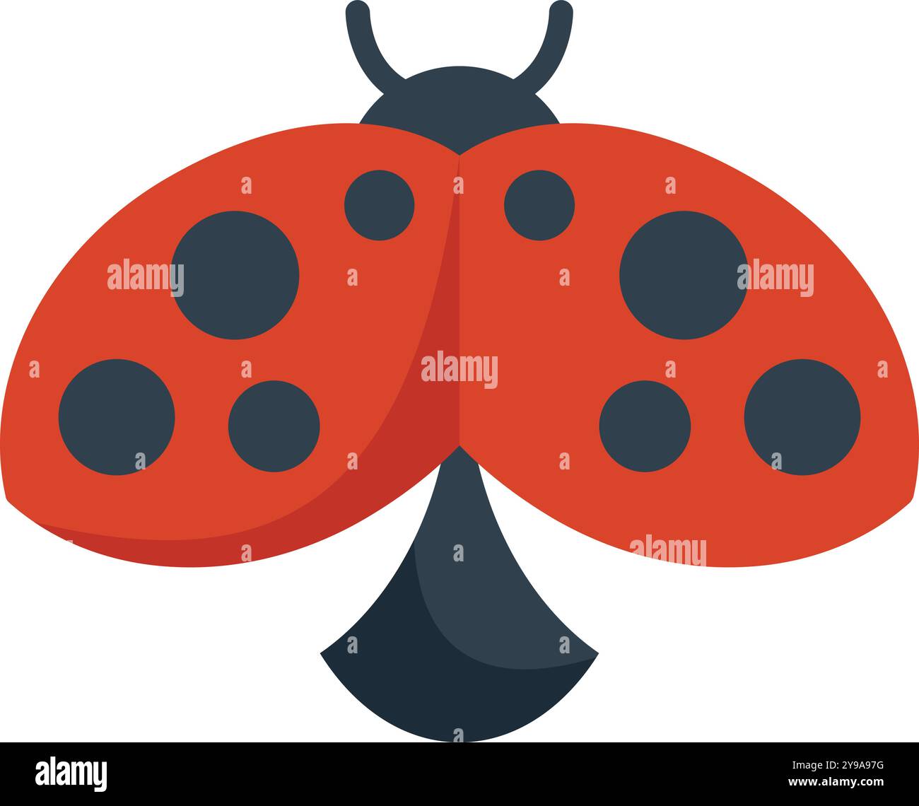 Red ladybug with black dots is flying with its wings wide open Stock ...
