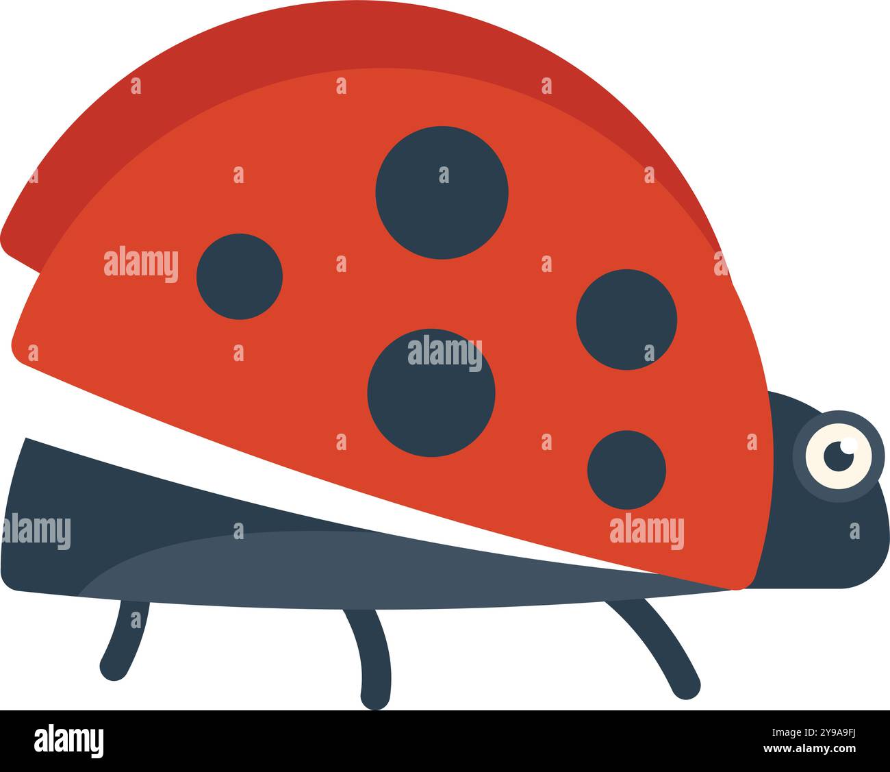 Cartoon ladybug is opening its wings, getting ready to fly Stock Vector ...