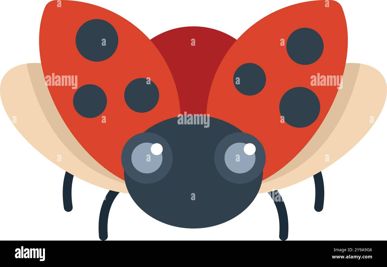 Cute red ladybug with black dots is opening its wings and taking off ...