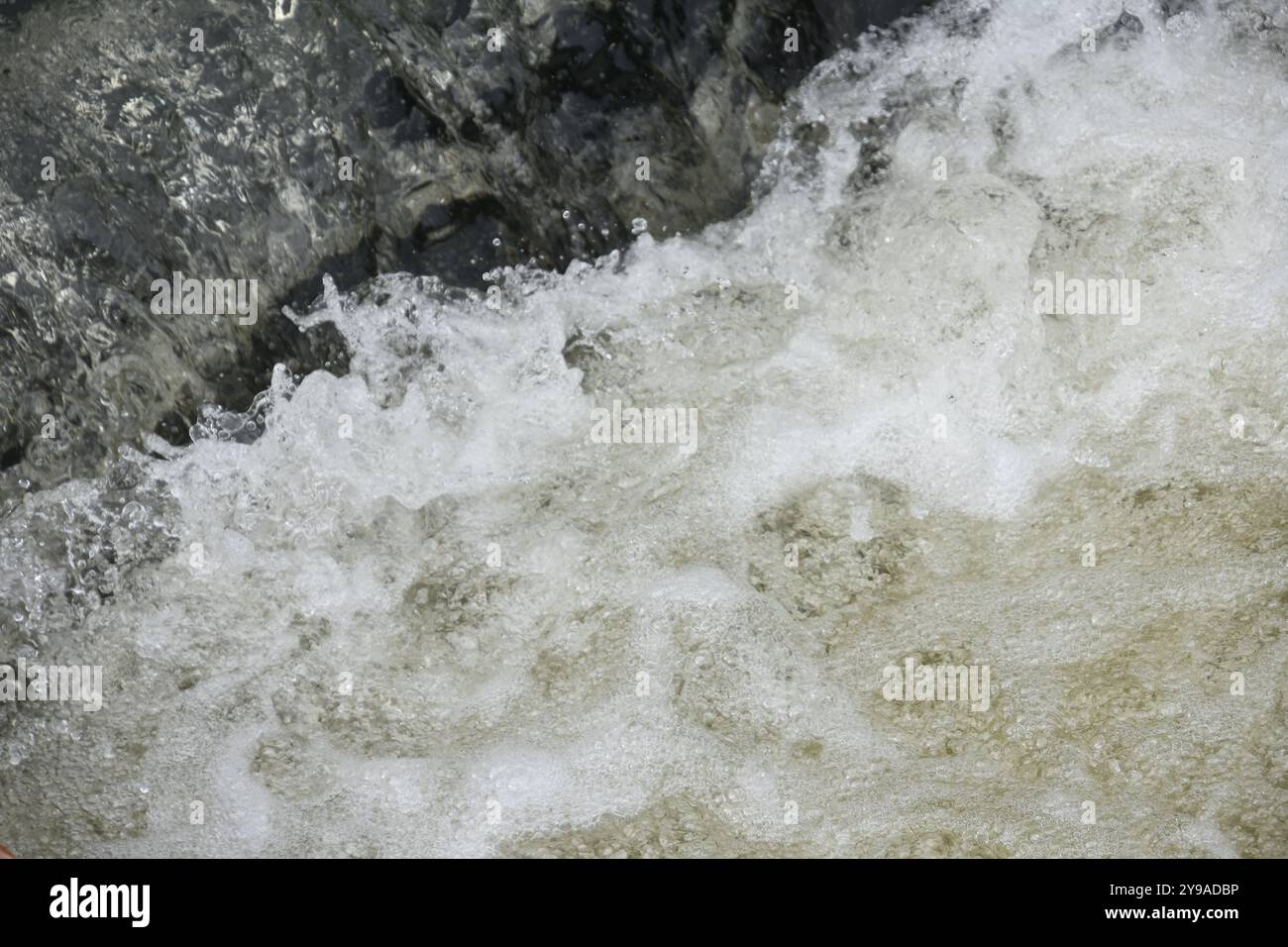 A detailed close up view of a river with foam bubbling out of it Stock ...