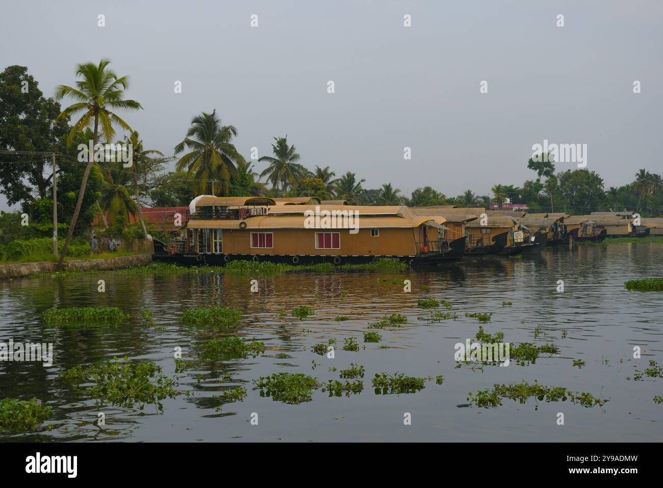 Houseboat in Kerala backwater sailing through the canals in Alappuzha ...