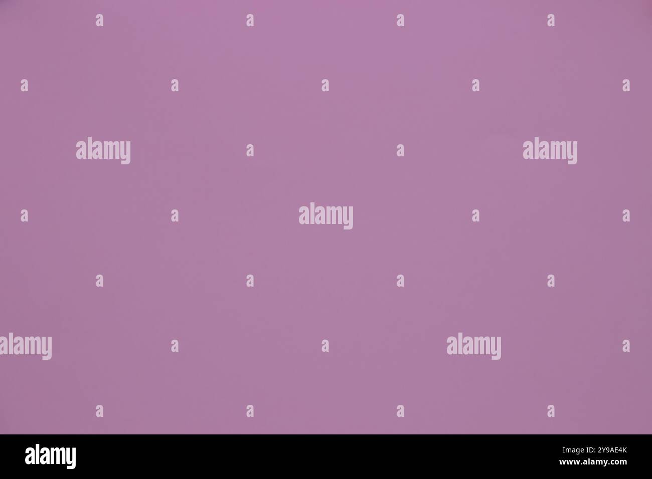 This paper background in a uniform lavender color is perfect for ...