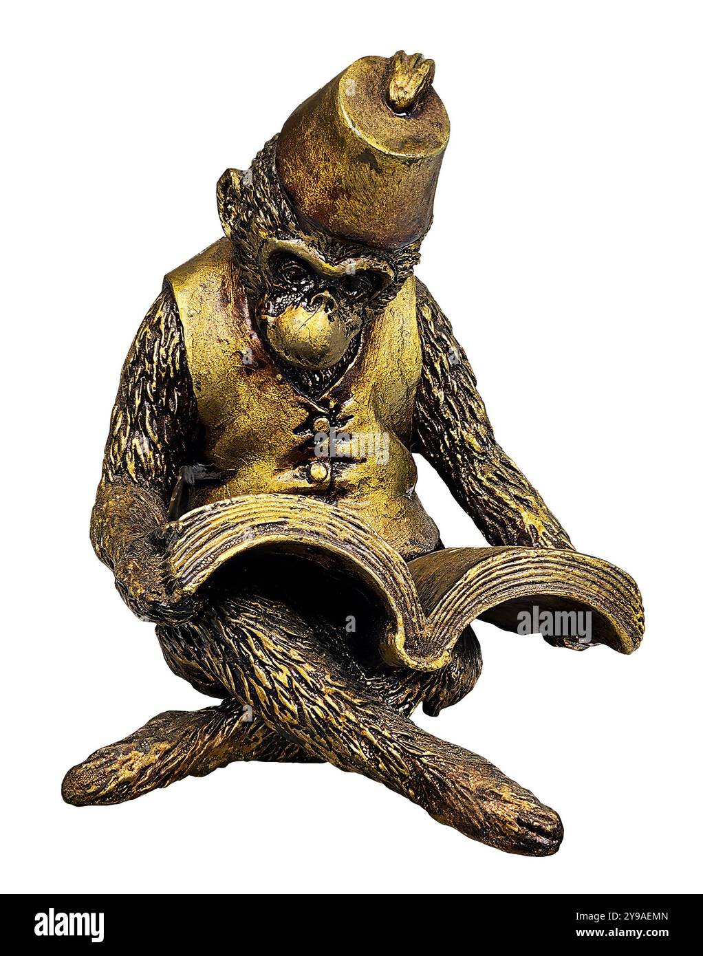 Monkey with fez hi-res stock photography and images - Alamy