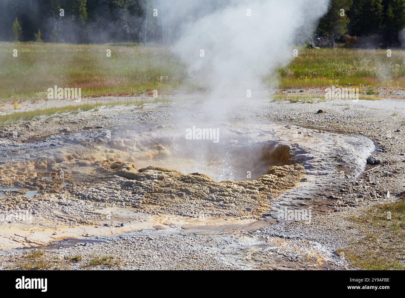 The Upper Geyser Basin is home to 150 geysers in a single square mile ...