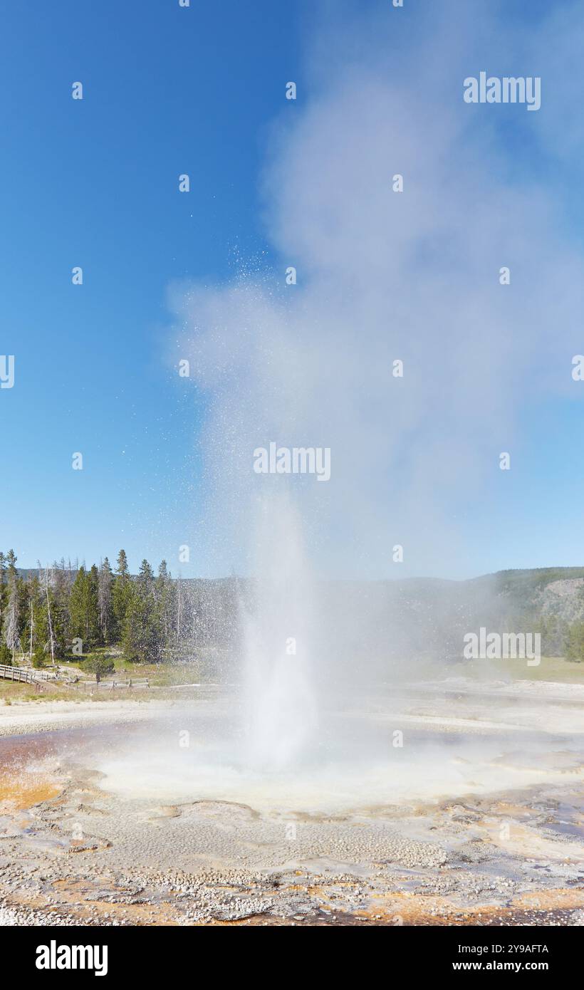 The Upper Geyser Basin is home to 150 geysers in a single square mile ...