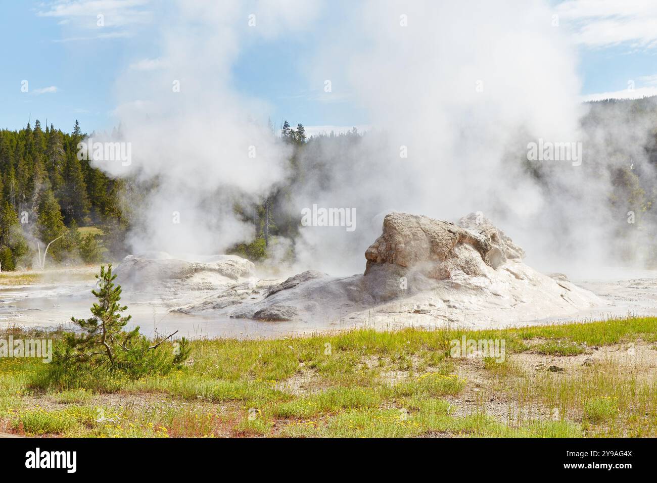 The Upper Geyser Basin is home to 150 geysers in a single square mile ...
