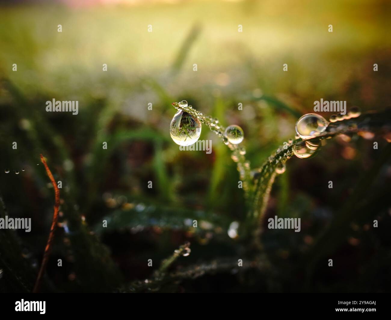 Naturetextures hi-res stock photography and images - Alamy