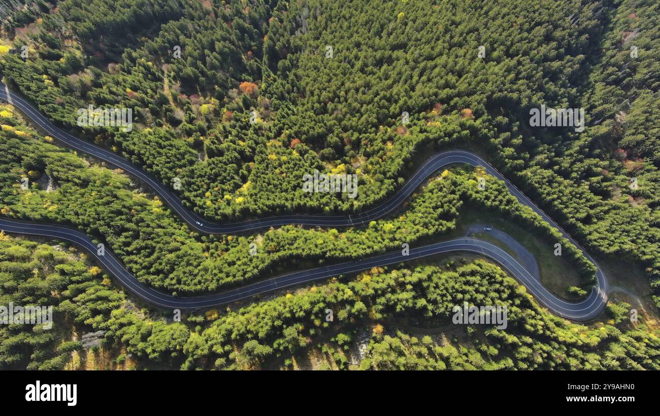 Aerial top view of curved road trough the forest. Hi mountain pass in ...