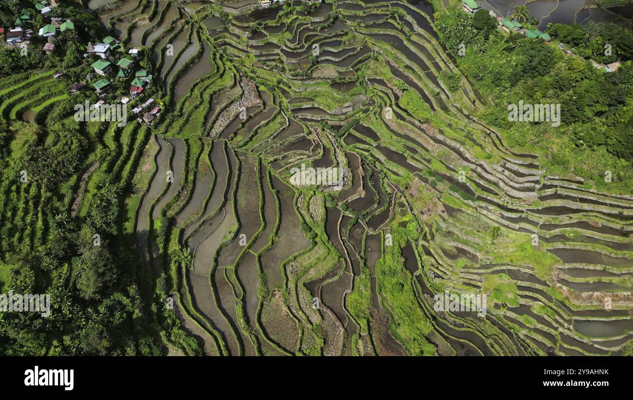 Aerial view of picturesque Batad Rice Terraces in Ifugao Province ...