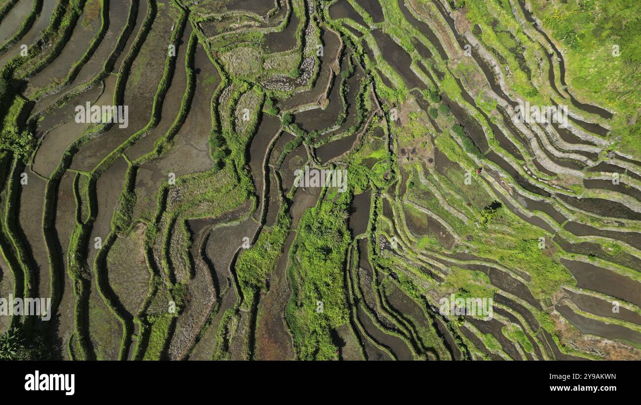 Aerial view of picturesque Batad Rice Terraces in Ifugao Province ...