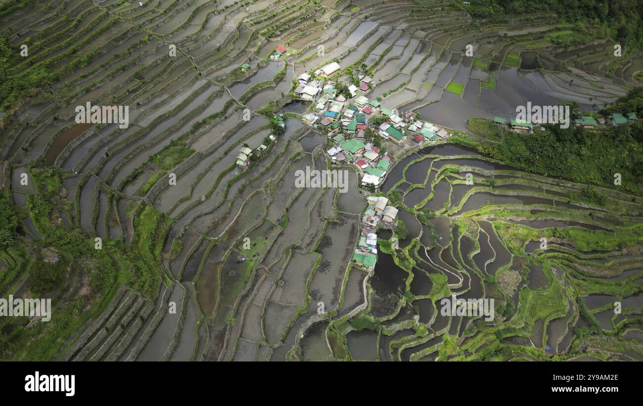 Rice terrace aerial hi-res stock photography and images - Alamy