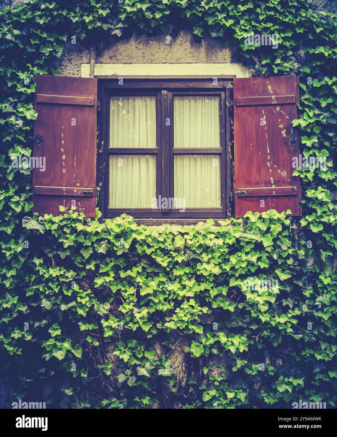 Retro Style Photo Of Shutters On A Window On A House Covered In Ivy ...