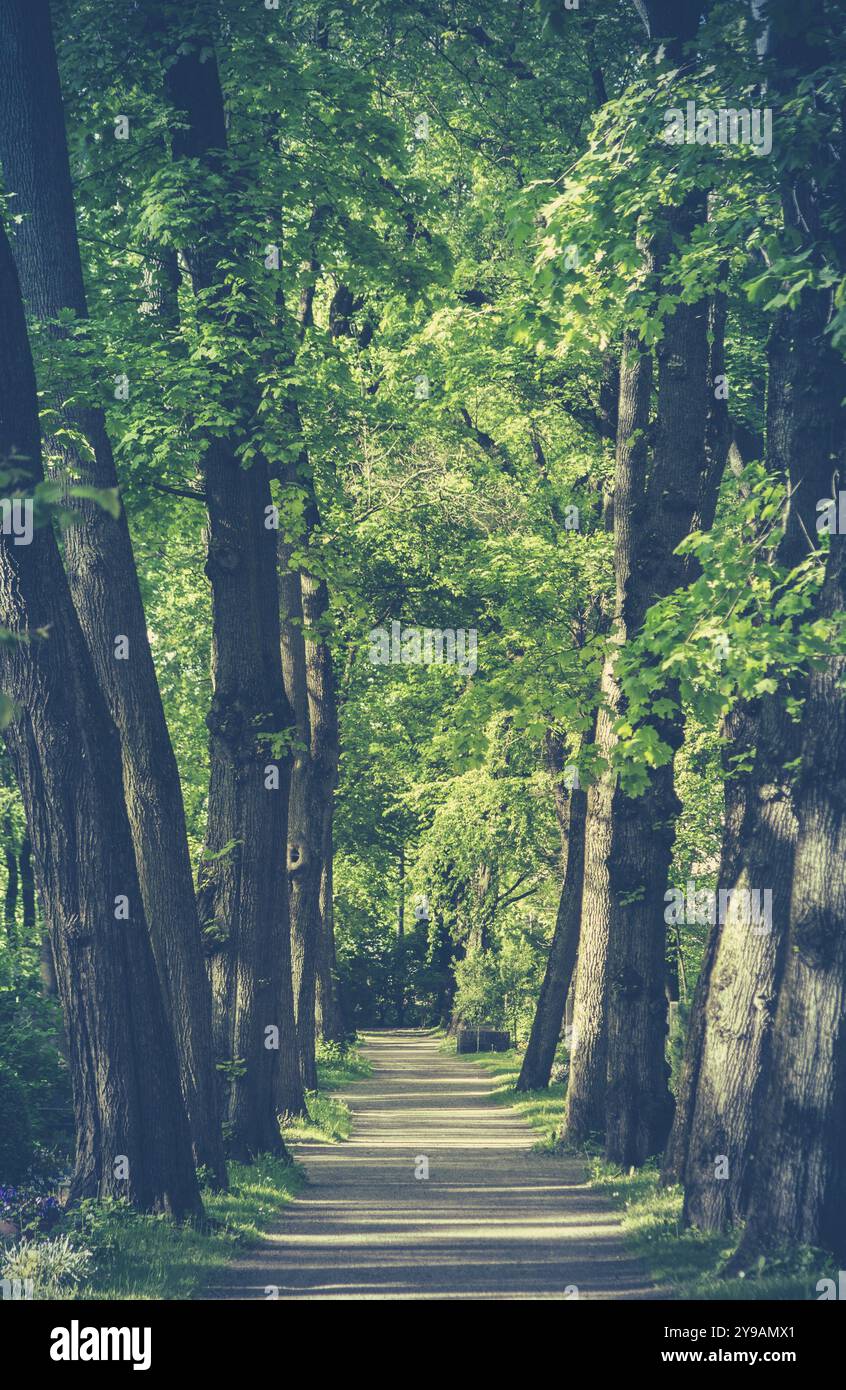 Pathway through image hi-res stock photography and images - Alamy