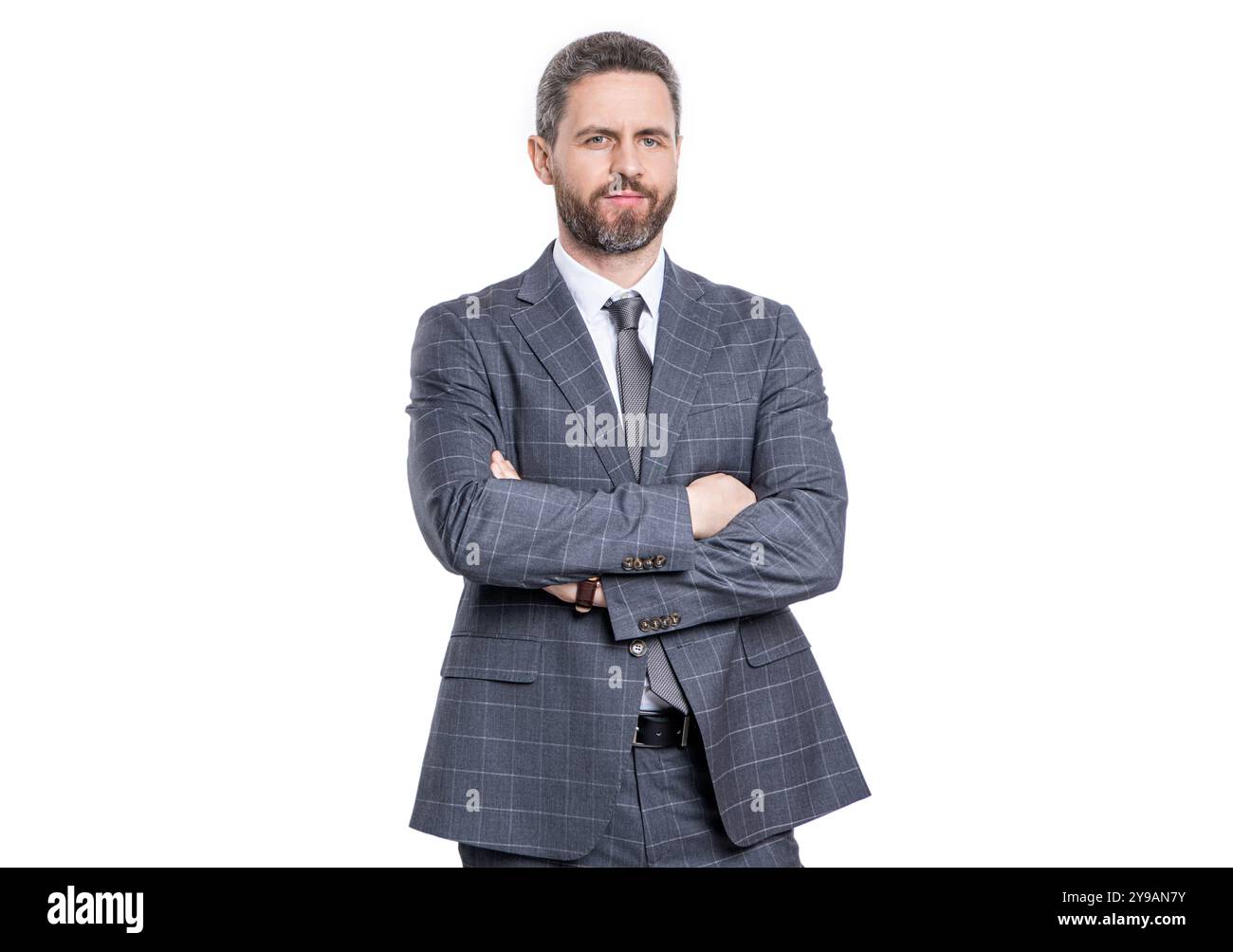 Successful CEO in suit. Confident entrepreneur. Business leadership ...