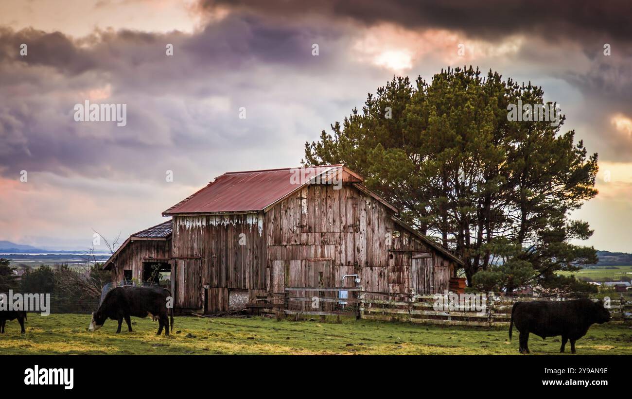 An old barn, landscape, Color Image, USA, North America Stock Photo - Alamy