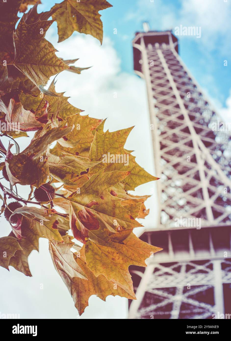 Retro Filter Photo Of The Eiffel Tower In Paris With Fall Leaves Stock ...